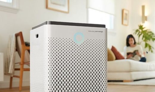 Coway Air Purifier How to & Troubleshooting Guide - The Indoor Haven