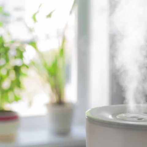 Why is My Humidifier Spitting Out Water? - The Indoor Haven