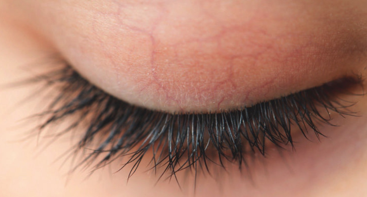 How to Repair Eyelashes After Extensions - The Indoor Haven